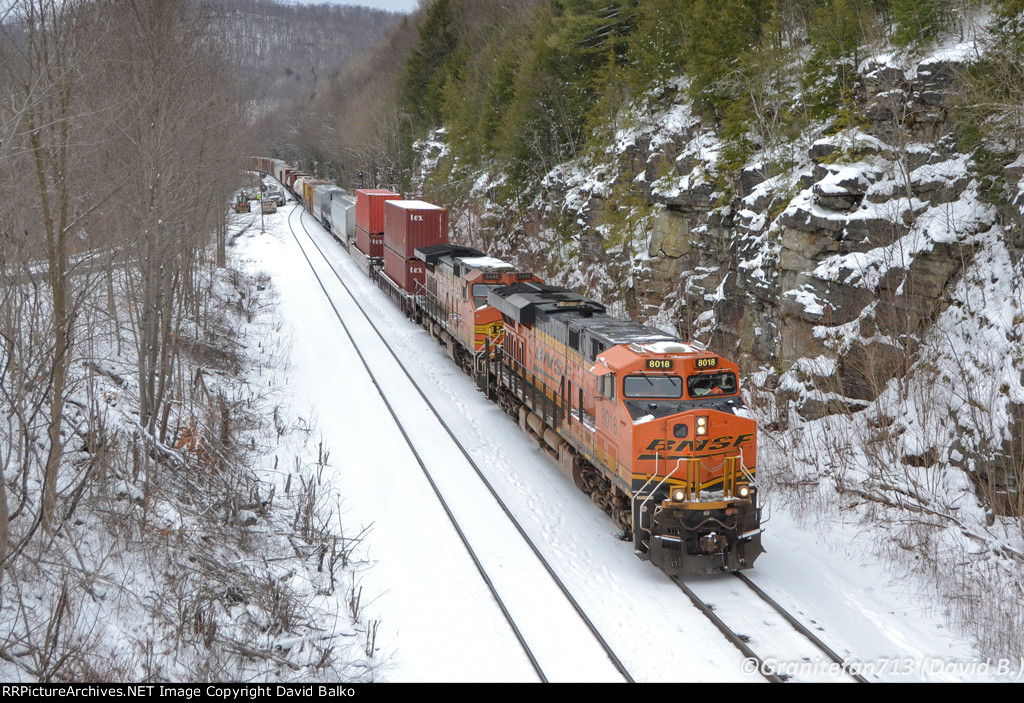 BNSF 8018